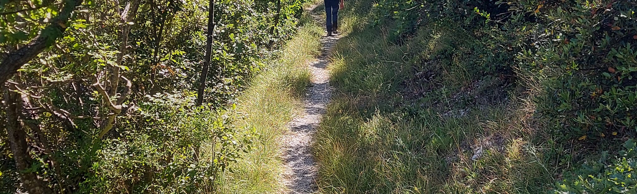 Sigillo - Colle Croce: 3 Reviews, Map - Umbria, Italy | AllTrails