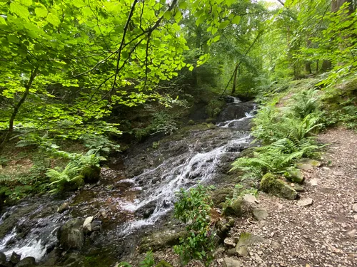 10 Best Off-road Driving Trails in England | AllTrails