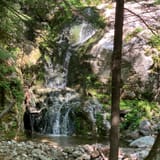 Hedgehog Mountain and Rooster Comb via Wedge Brook Trail Loop , New ...