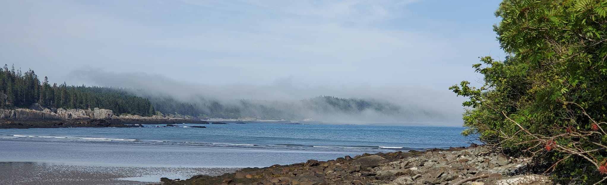 Bog Brook Cove Ridge Trail : 58 Reviews, Map - Maine | AllTrails