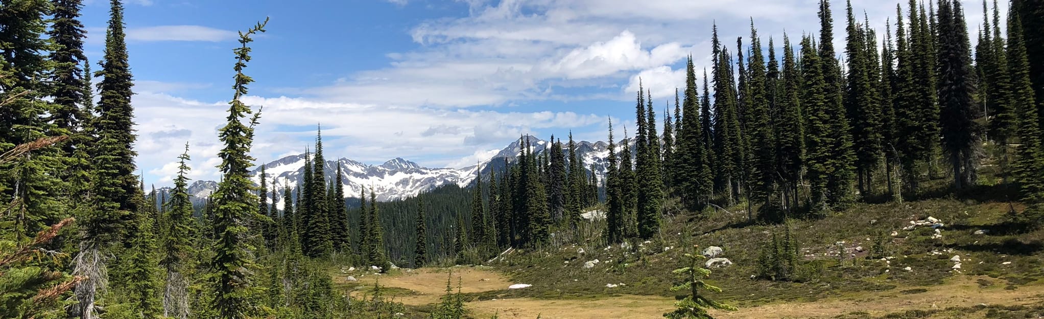 First Footsteps Trail: 147 fotos - Britisk Columbia, Canada | AllTrails