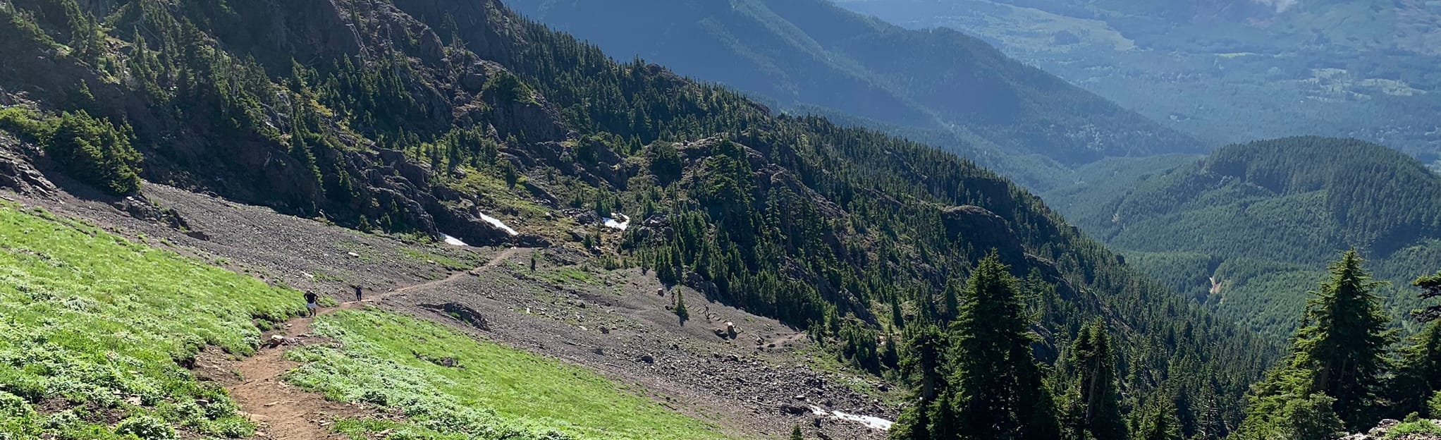 Mount Ellinor Trail: 2,522 Reviews, Map - Washington | AllTrails