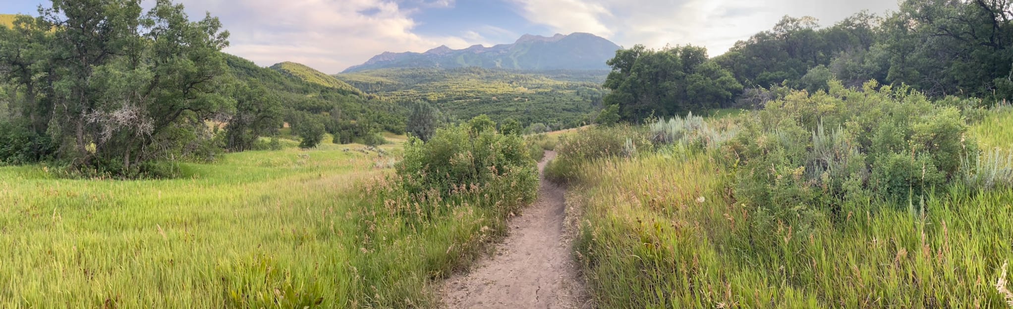 Icebox Canyon Loop via Art Nord Drive Trailhead, Utah - 706 Reviews ...