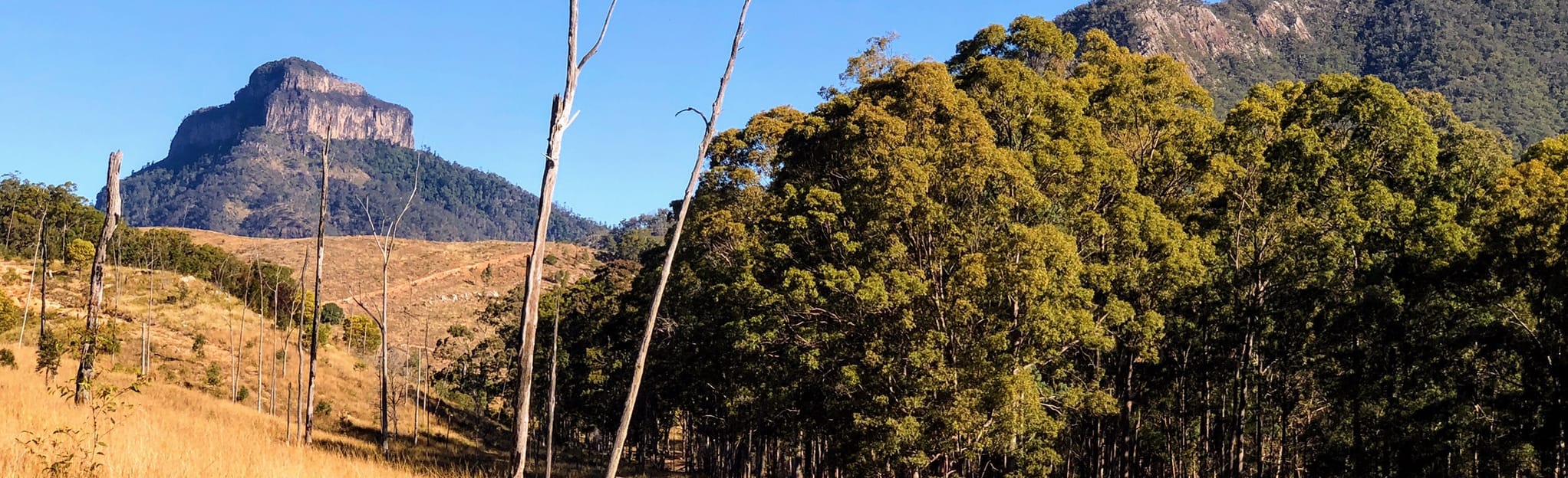 Mount Ernest Summit Loop, Queensland, Australia - 35 Reviews, Map | AllTrails