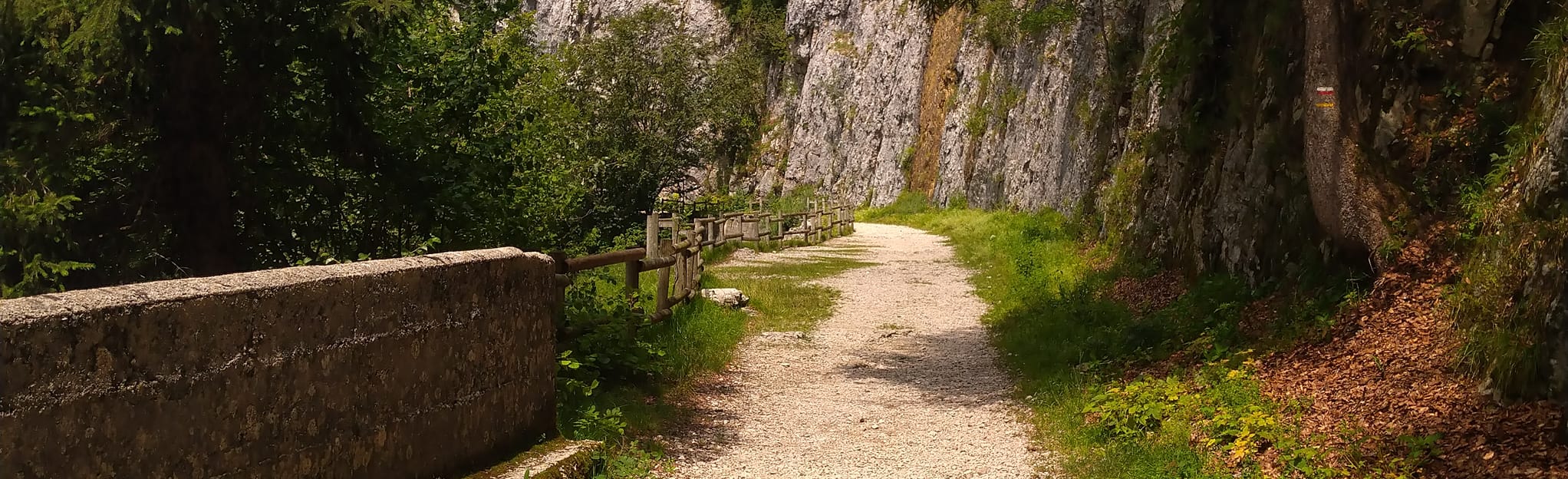 Gorges de la Langouette - Cascade du Bief de la Ruine: 229 foton – Jura ...