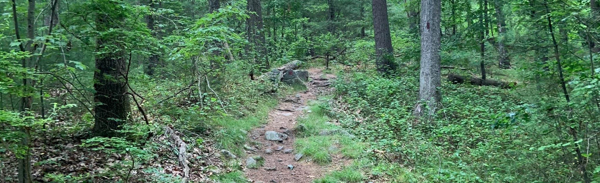 Snake Hill via Red Trail and White Trail Loop: 231 Reviews, Map ...