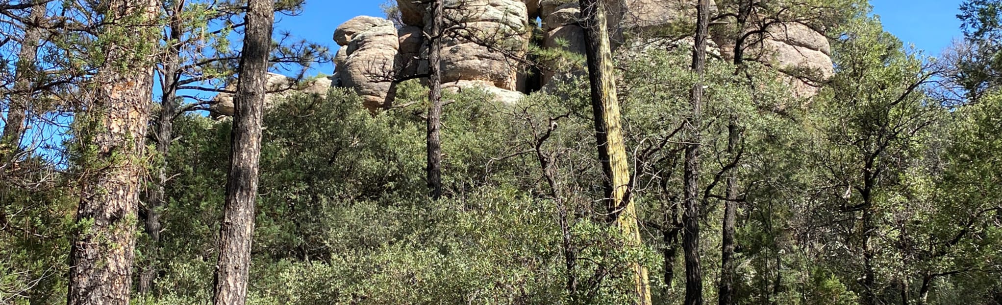 Circuito de Majalca, Chihuahua, Mexico - 2 Reviews, Map | AllTrails