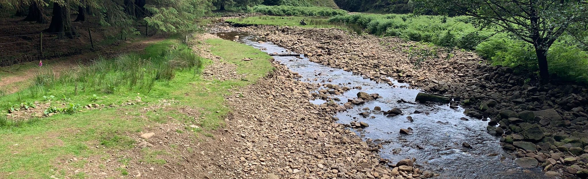 Snake Woodland and Snake Path: 111 Reviews, Map - Derbyshire, England ...