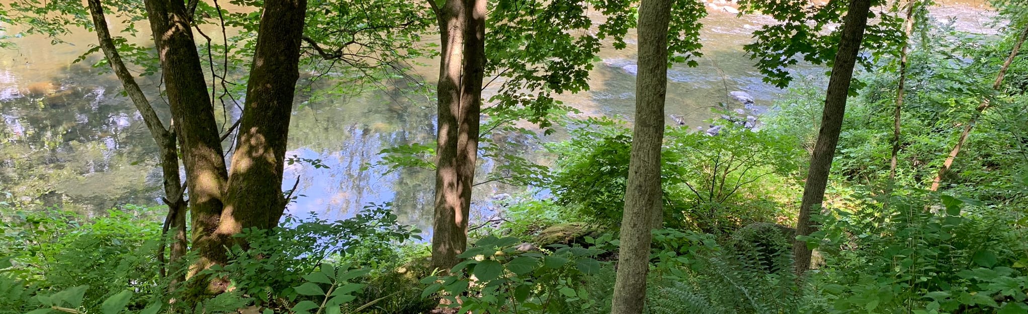 Glen Park Trail: 215 Reviews, Map - Pennsylvania | AllTrails