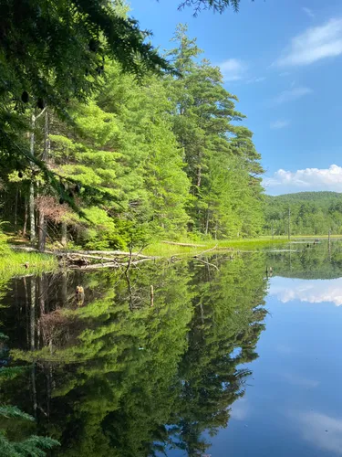 Best Walking Trails in Epsom | AllTrails