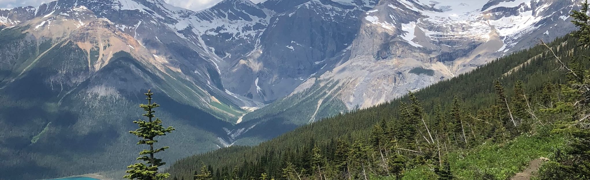 Burgess Shale and Walcott Quarry, Alberta, Canada - 114 Reviews, Map ...