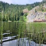 Thorp Lake via Thorp Creek Trail, Washington - 136 Reviews, Map | AllTrails