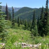 Thorp Lake via Thorp Creek Trail, Washington - 136 Reviews, Map | AllTrails