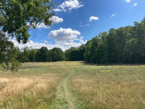 Best Forest Trails in Fulltofta naturreservat | AllTrails