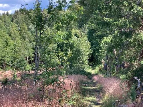 Best Views Trails in Fulltofta naturreservat | AllTrails