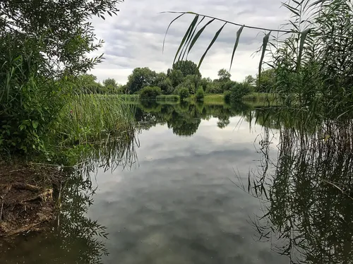 10 Best Walking Trails in Cotswold Water Park | AllTrails
