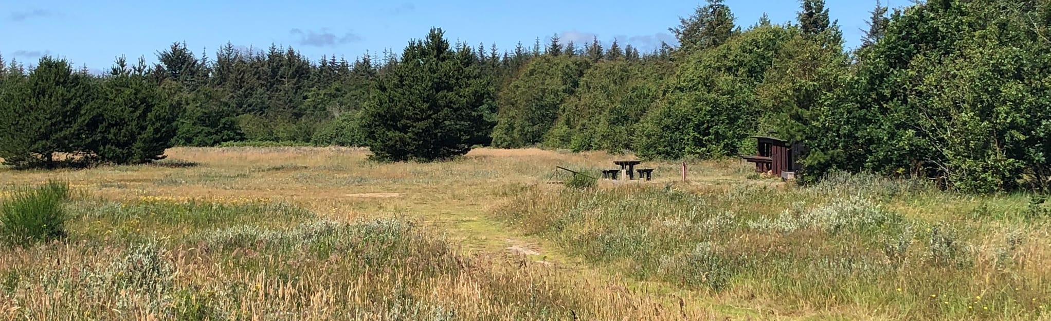 Hjørring - Tornby Klitplantage | Map, Guide - North Denmark, Denmark ...