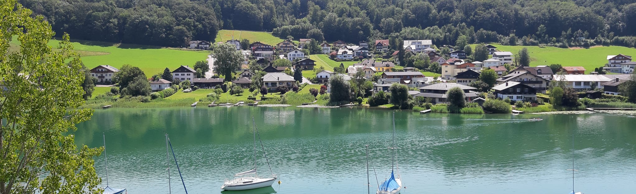 Spurensuche rund um Mattsee: 4 Fotos - Salzburg, Österreich | Wandern ...
