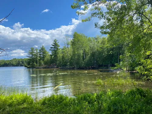 Best Hikes and Trails in Murphy's Point Provincial Park | AllTrails