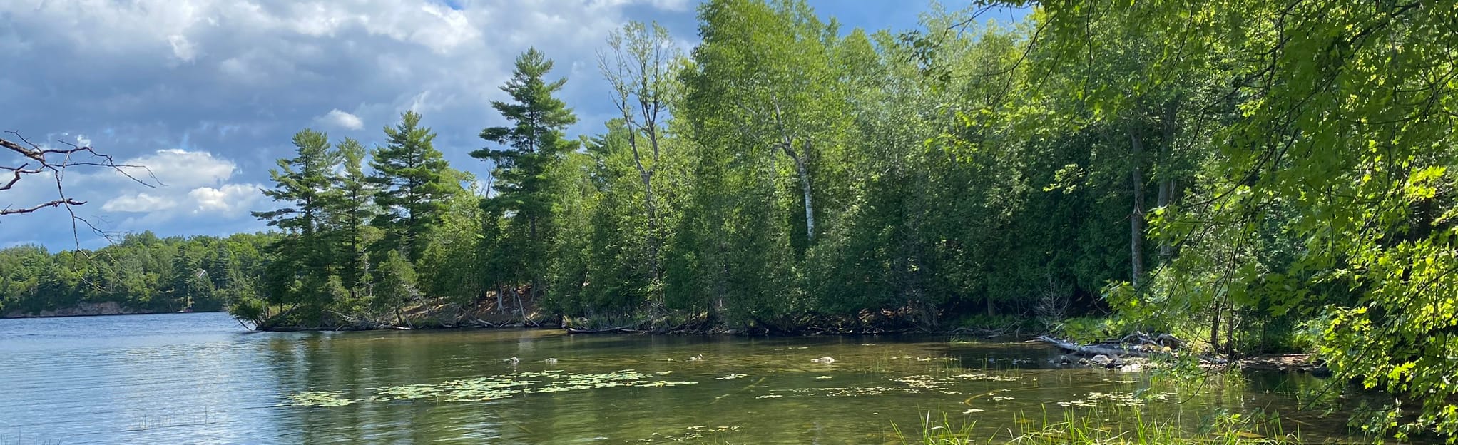 Murphys Point Loop: 265 Reviews, Map - Ontario, Canada | AllTrails