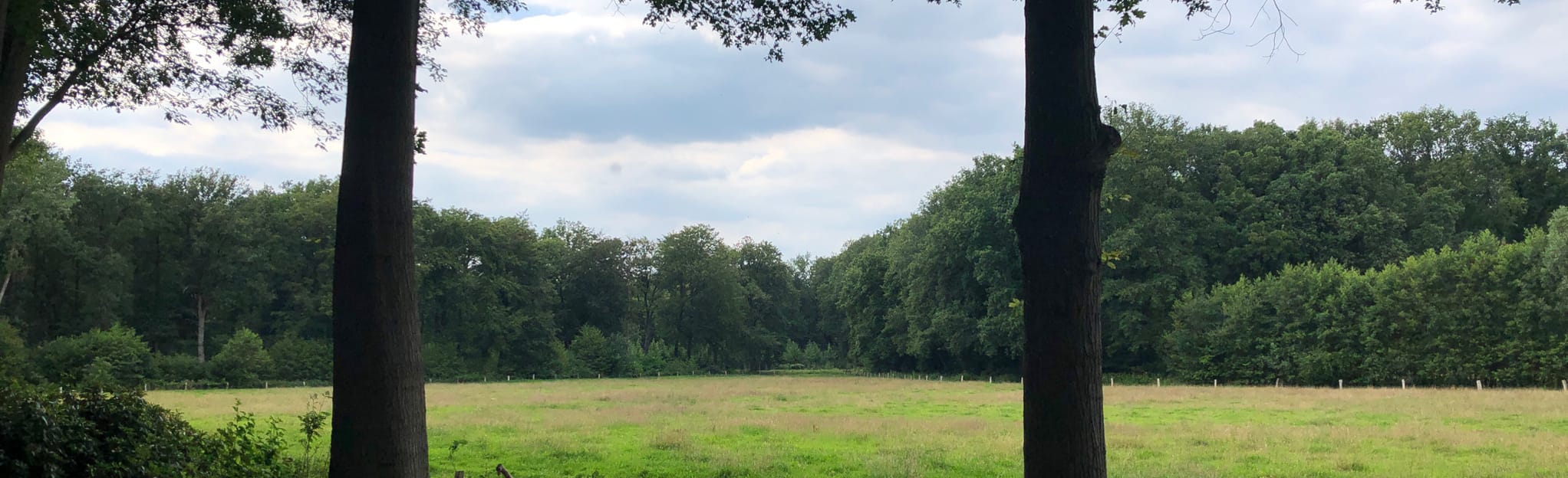 Ronde van Warnsveld 25 KM, Gelderland, Netherlands - Map, Guide | AllTrails