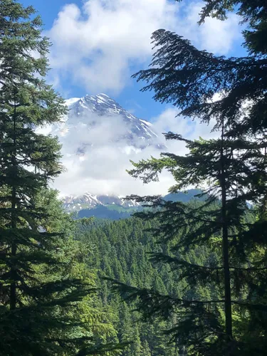10 Best Trails and Hikes in Longmire | AllTrails