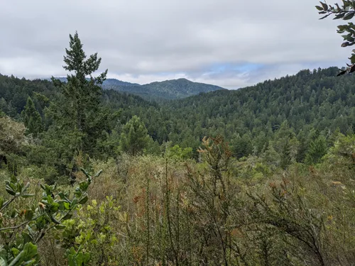 Best Historic Site Trails in Boulder Creek | AllTrails