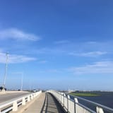 Ocean City Bike Path, New Jersey - 181 Reviews, Map | AllTrails