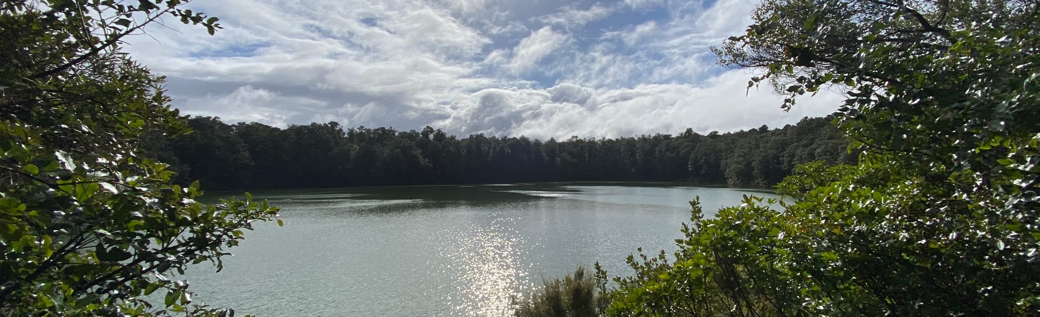 Lake Rotokura Track: 13 Reviews, Map - Manawatu-Wanganui, New Zealand ...