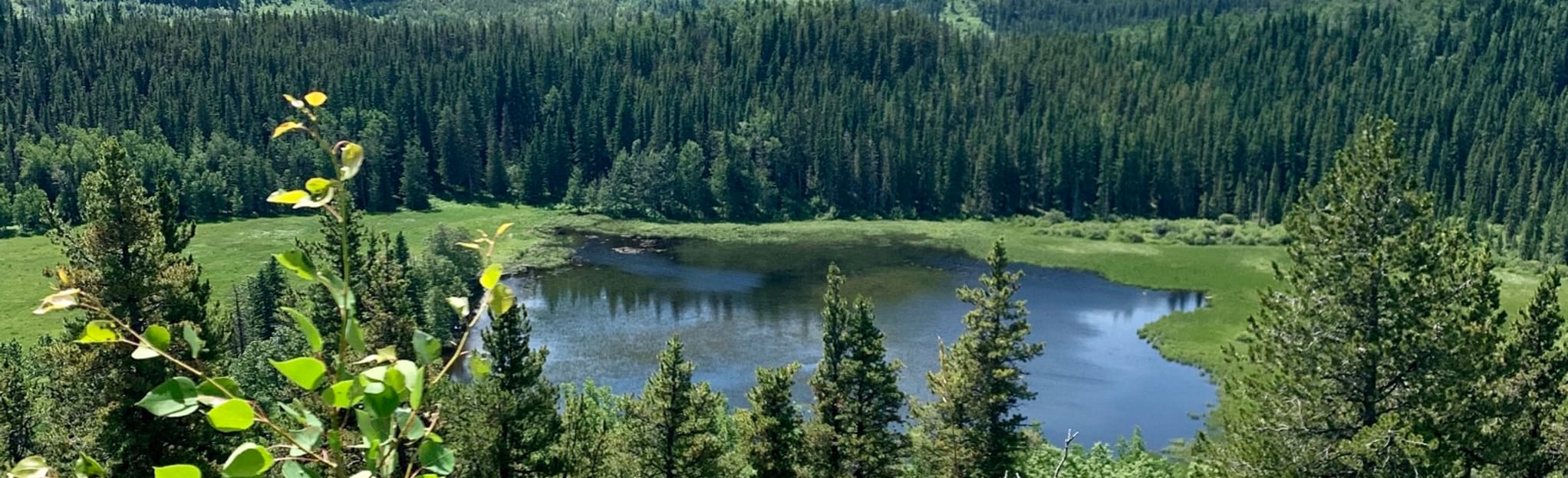Sibbald Flat Interpretive Trail : 75 Photos - Alberta, Canada ...
