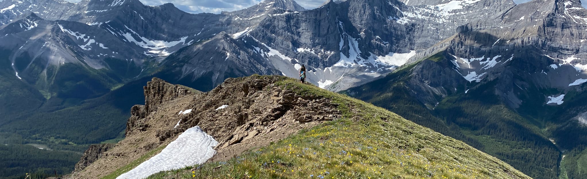Kent Ridge Trail - Alberta, Canada | AllTrails