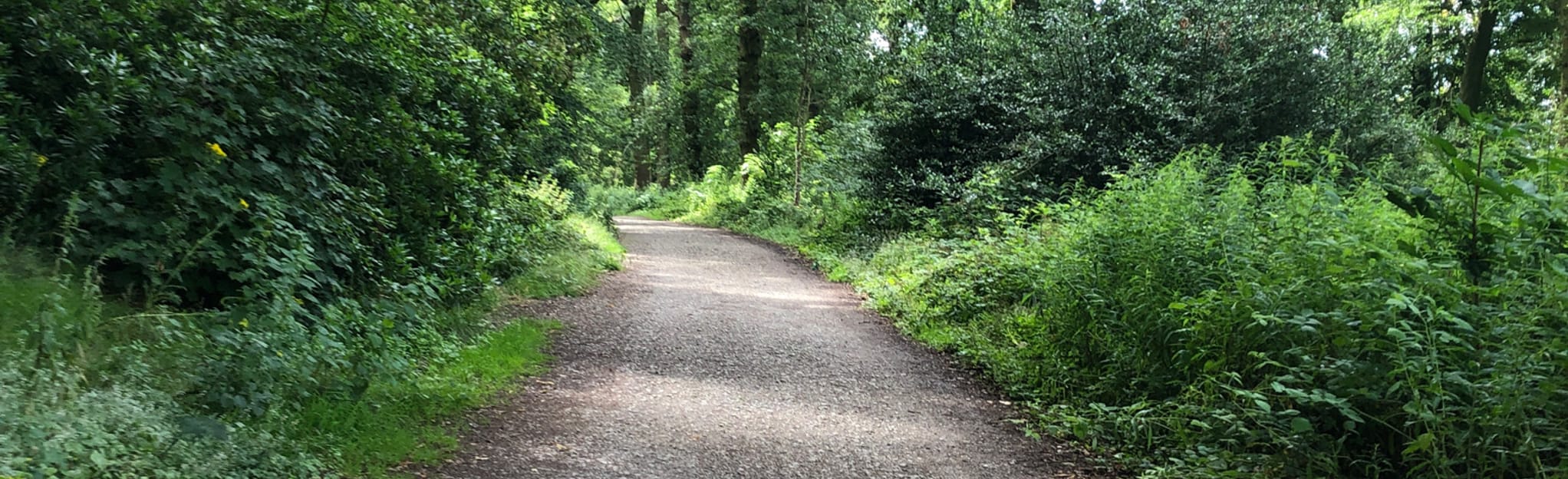 Tatton Park Circular: 180 Fotos - Cheshire, England | AllTrails