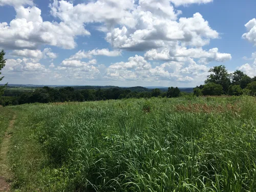 Best Hikes and Trails in Camillus Forest Unique Area | AllTrails