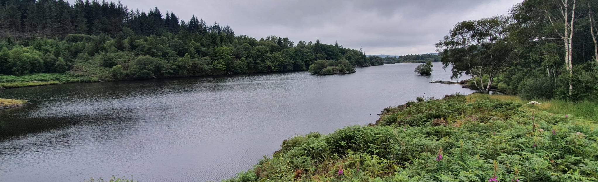 Llyn Elsi Circular, Conwy, Wales - 16 Reviews, Map | AllTrails