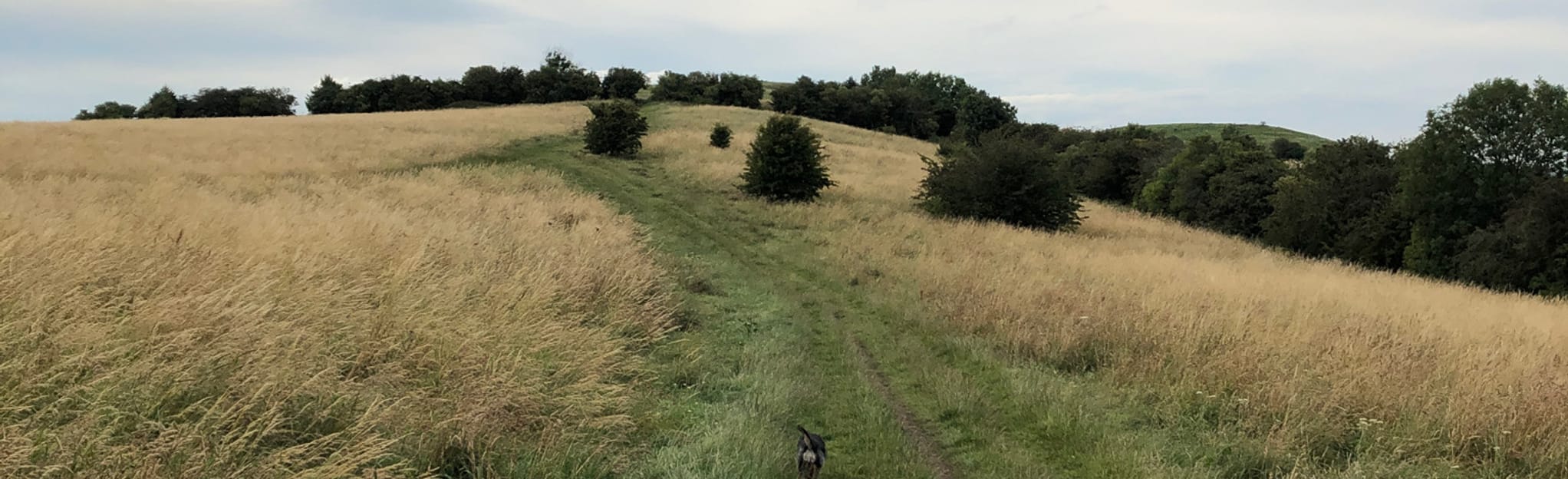 Tunstall Hills, Tyne and Wear, England - 30 Reviews, Map | AllTrails