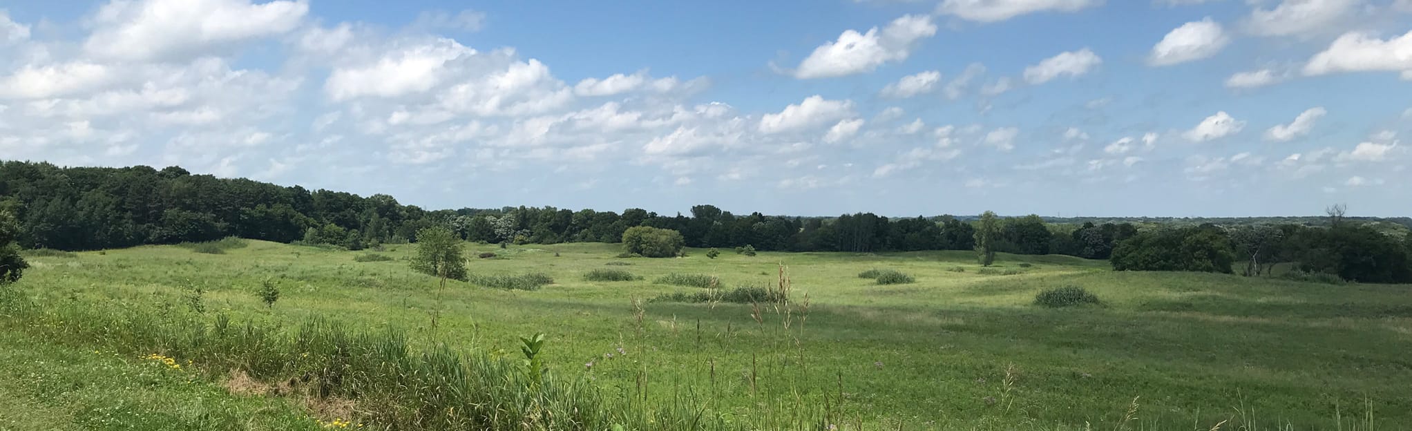 Big Bluestem and Eagle Point Loop, Minnesota - 38 Reviews, Map | AllTrails