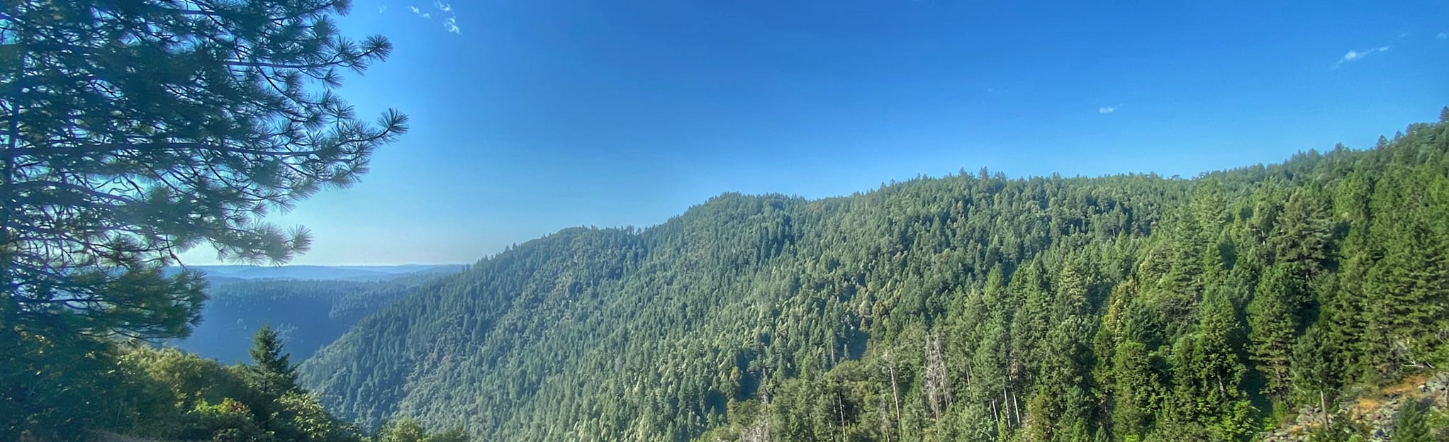 Yuba Rim Trail, California - 297 Reviews, Map | AllTrails