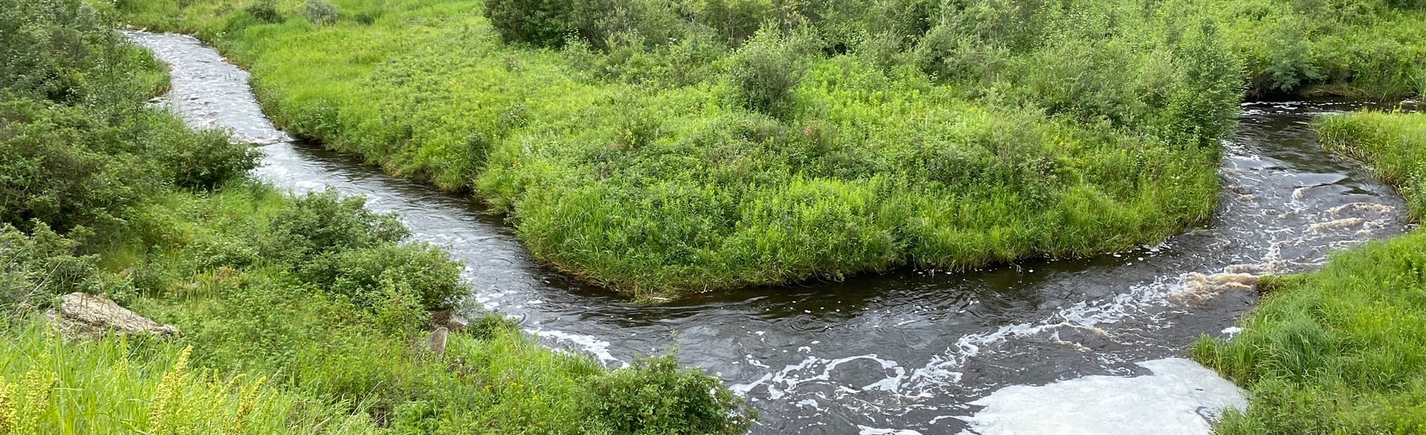 Camrose Creek Loop - Alberta, Canada | AllTrails