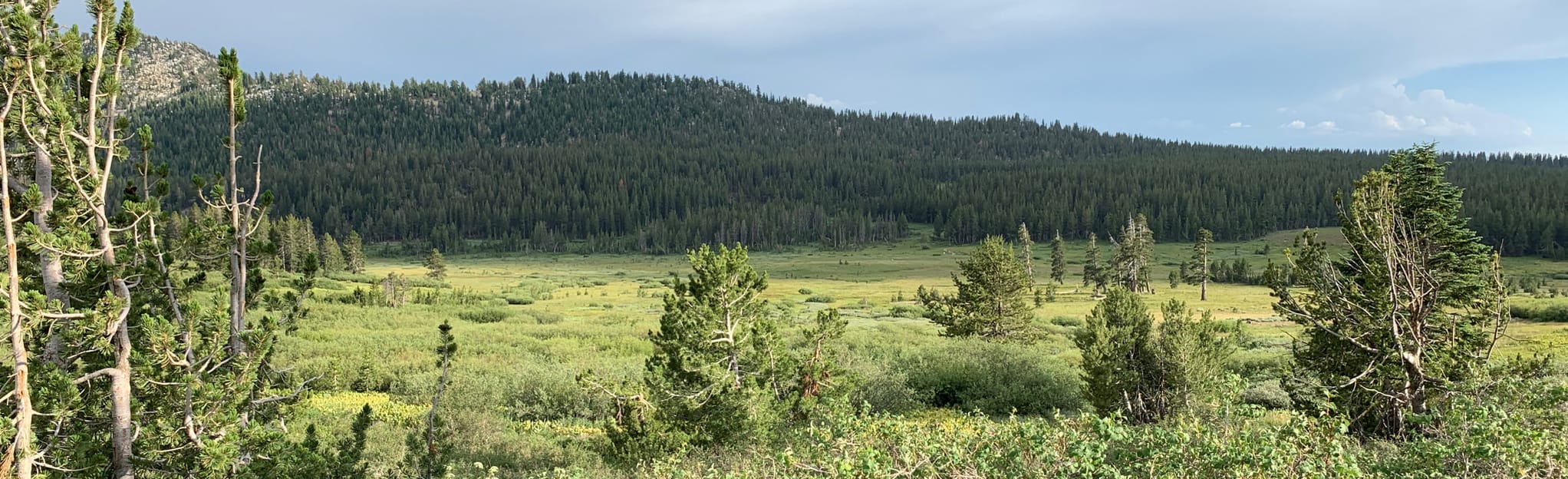 Diamond Peak from Tahoe Meadows, Nevada - 289 Reviews, Map | AllTrails