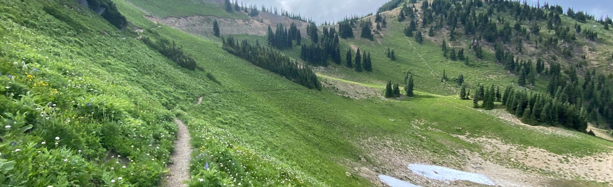 Base of Pickhandle Point via Crystal Mountain Trail: 393 fotos ...