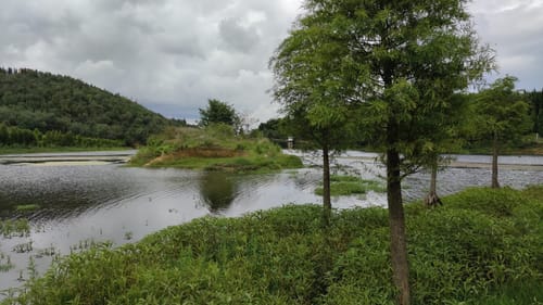 Best Hikes and Trails in Qipanshan National Forest Park | AllTrails