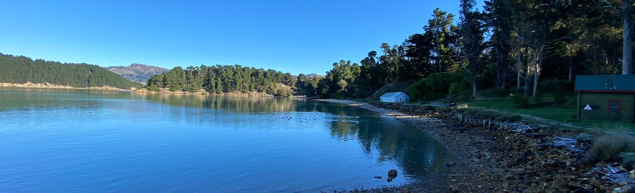 Quail Island Loop Track: 40 Reviews, Map - Canterbury, New Zealand ...