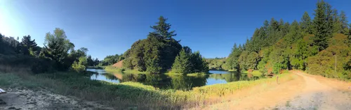 10 Best Hikes and Trails in Skyline Ridge Open Space Preserve | AllTrails