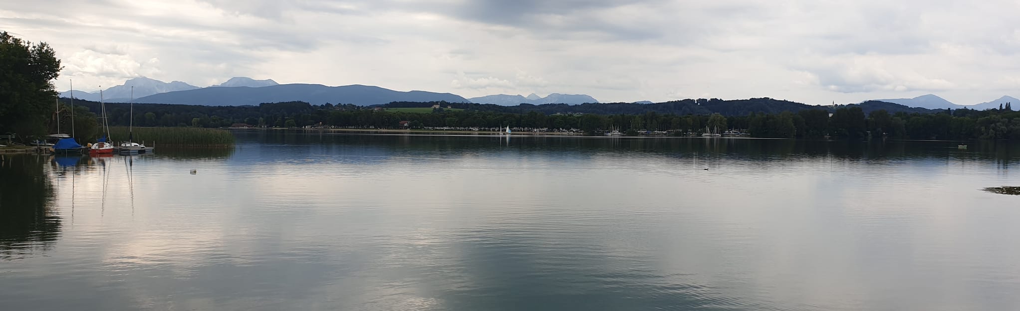 Palling Trail | Map, Guide - Bayern, Germany | AllTrails