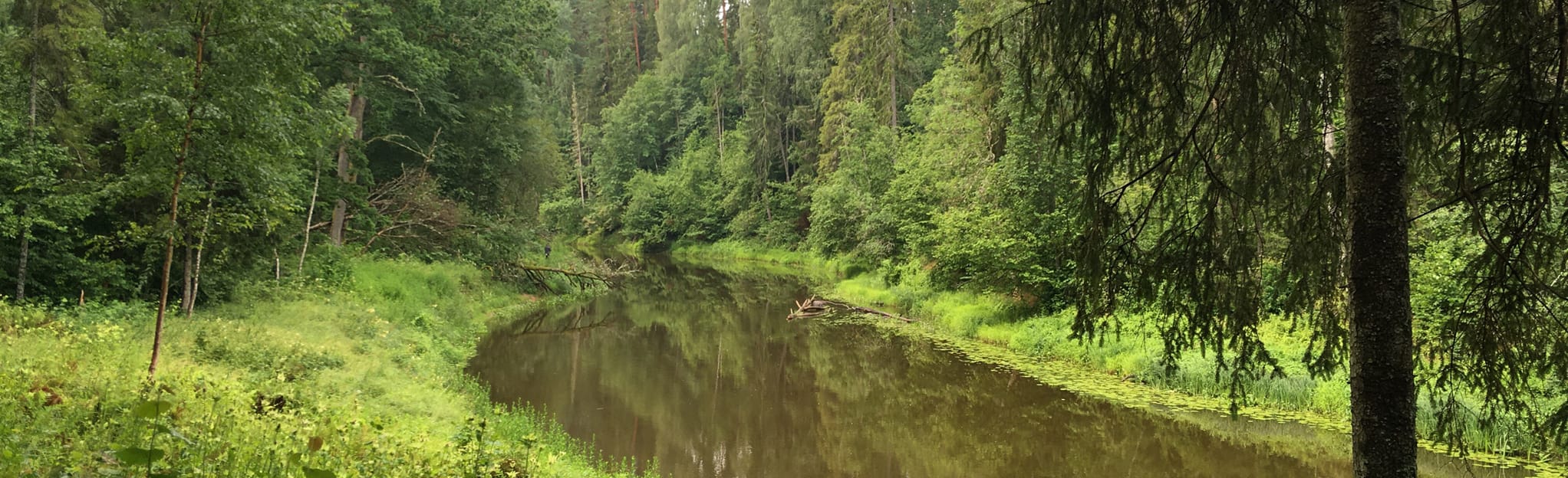 Skanaiskalns Nature Trail, 33 Fotos - Vidzeme, Latvia | AllTrails