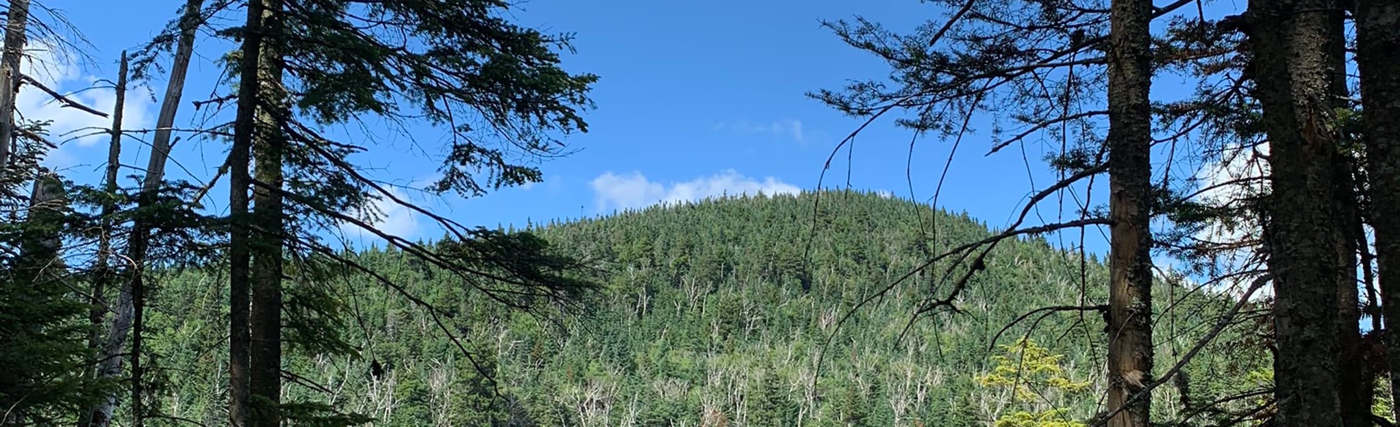 Cooper Kiln Pond Trail: 85 Reviews, Map - New York | AllTrails