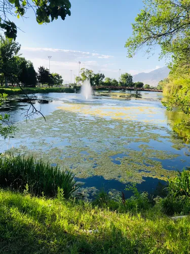 Best Hikes and Trails in Rees Pioneer Park | AllTrails