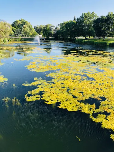 Best Hikes and Trails in Rees Pioneer Park | AllTrails