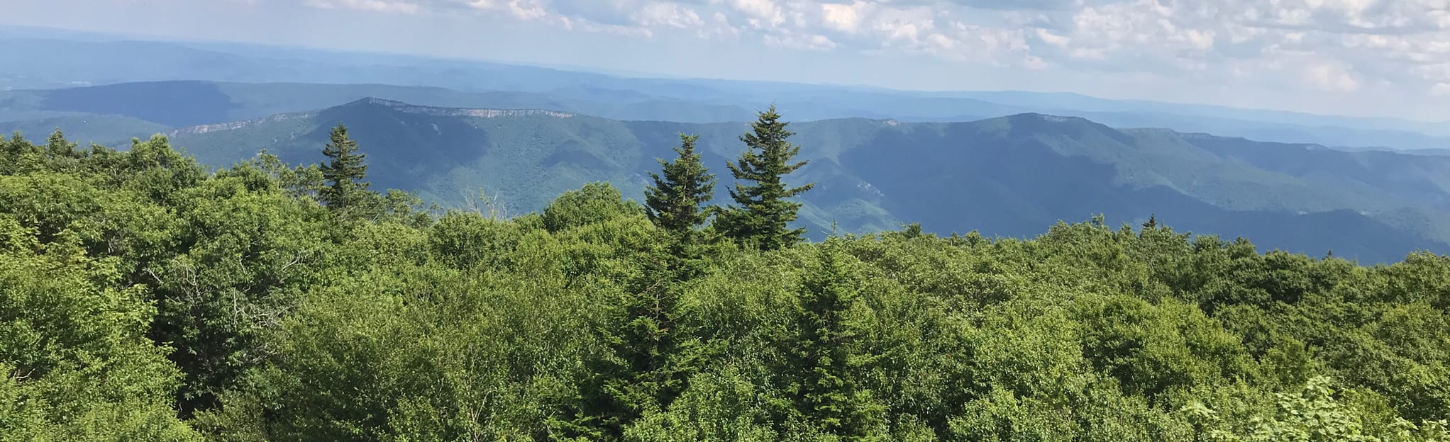 Bell Knob Lookout Tower Trail: 39 foto - Virginia Occidentale | AllTrails