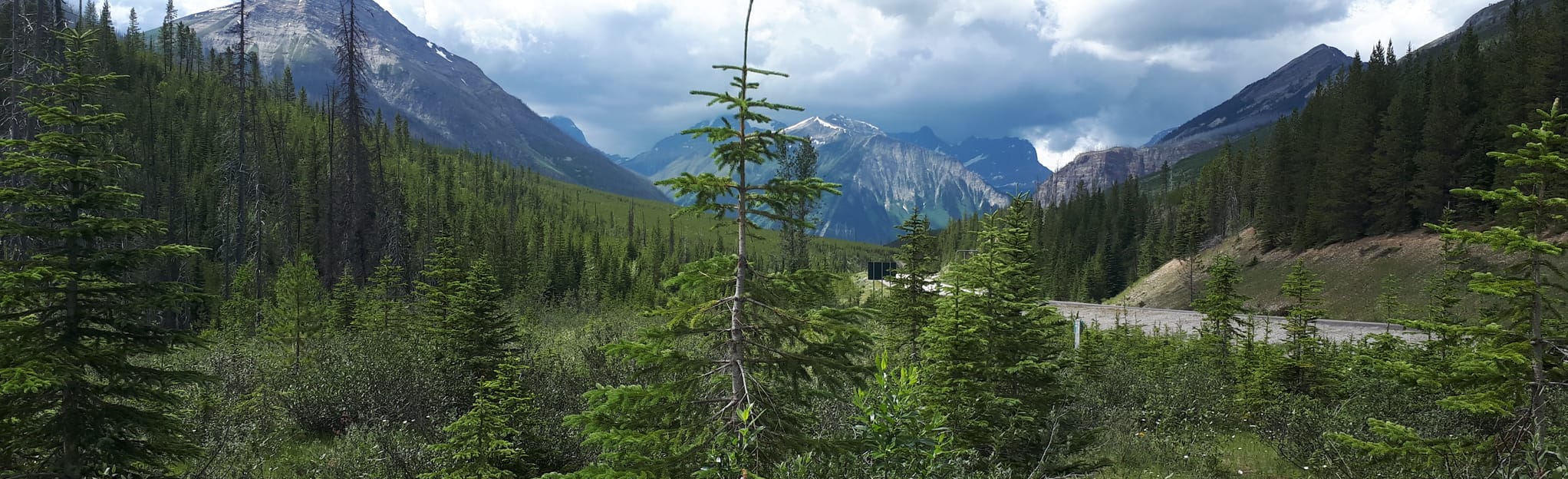 Mount Whymper: 14 Reviews, Map - Alberta, Canada | AllTrails